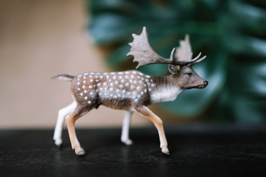CollectA Figurine - Fallow Deer – The Little Je'EL & Co.